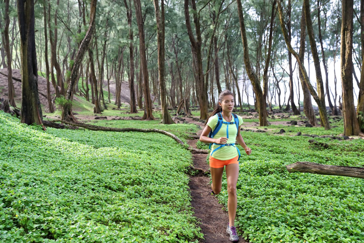 How to Train for Your First Ultra Marathon – Mountain Lovely